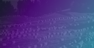 Our Approach - Xeretec