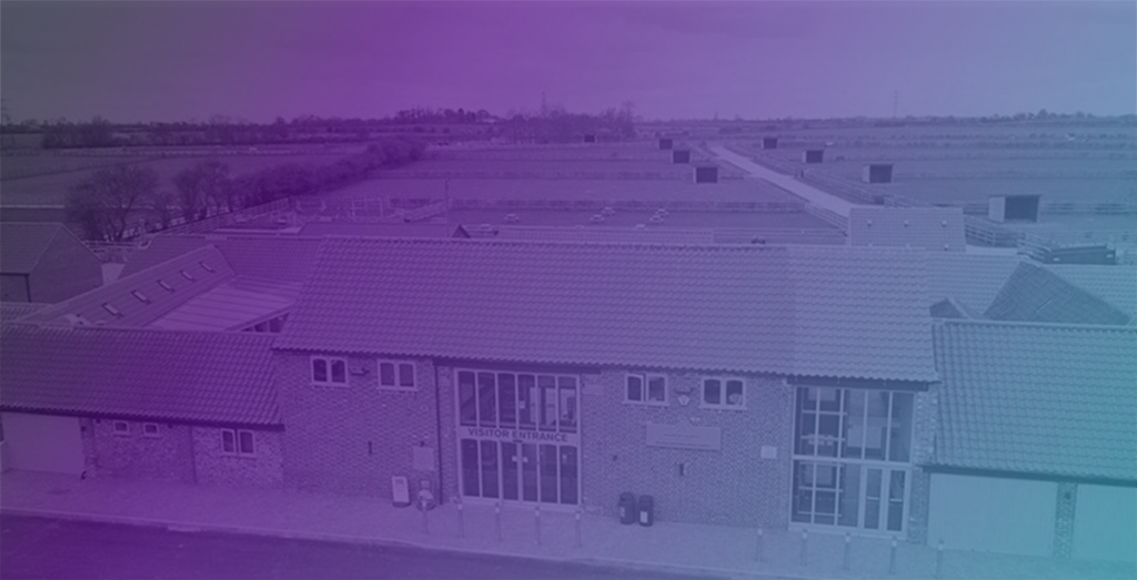 Bransby Horses Case Study | Xeretec